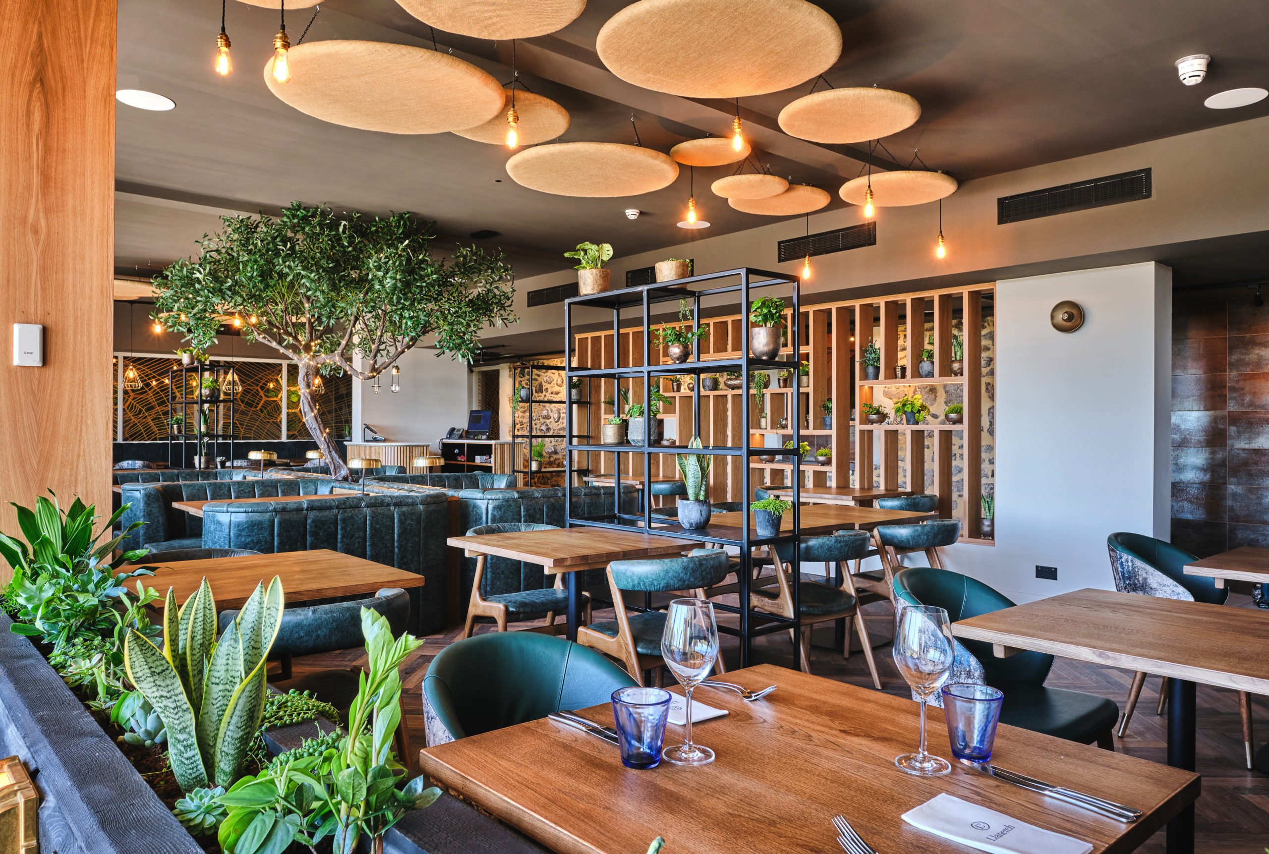 Llanerch Vineyard opens restaurant & boosts wine production